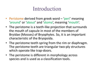 Peristome teeth in moss | PPTX