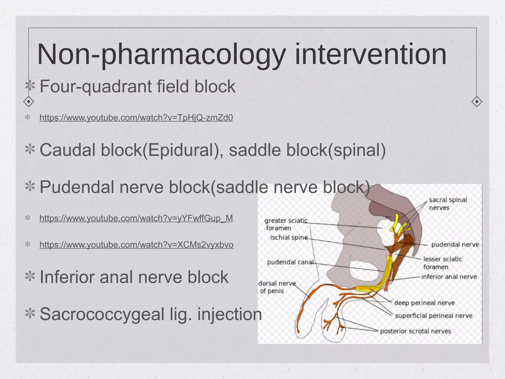 Peri anal pain | PPT