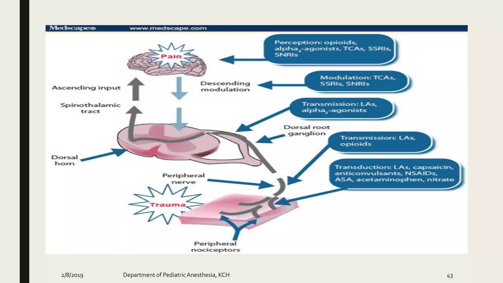 Peri operative pain management | PPTX