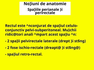 Patologia regiunii perianale (hemoroizi, fisura anala etc) | PPT