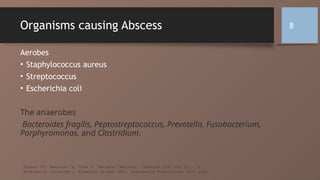 Perianal Abscess and its Management.pptx