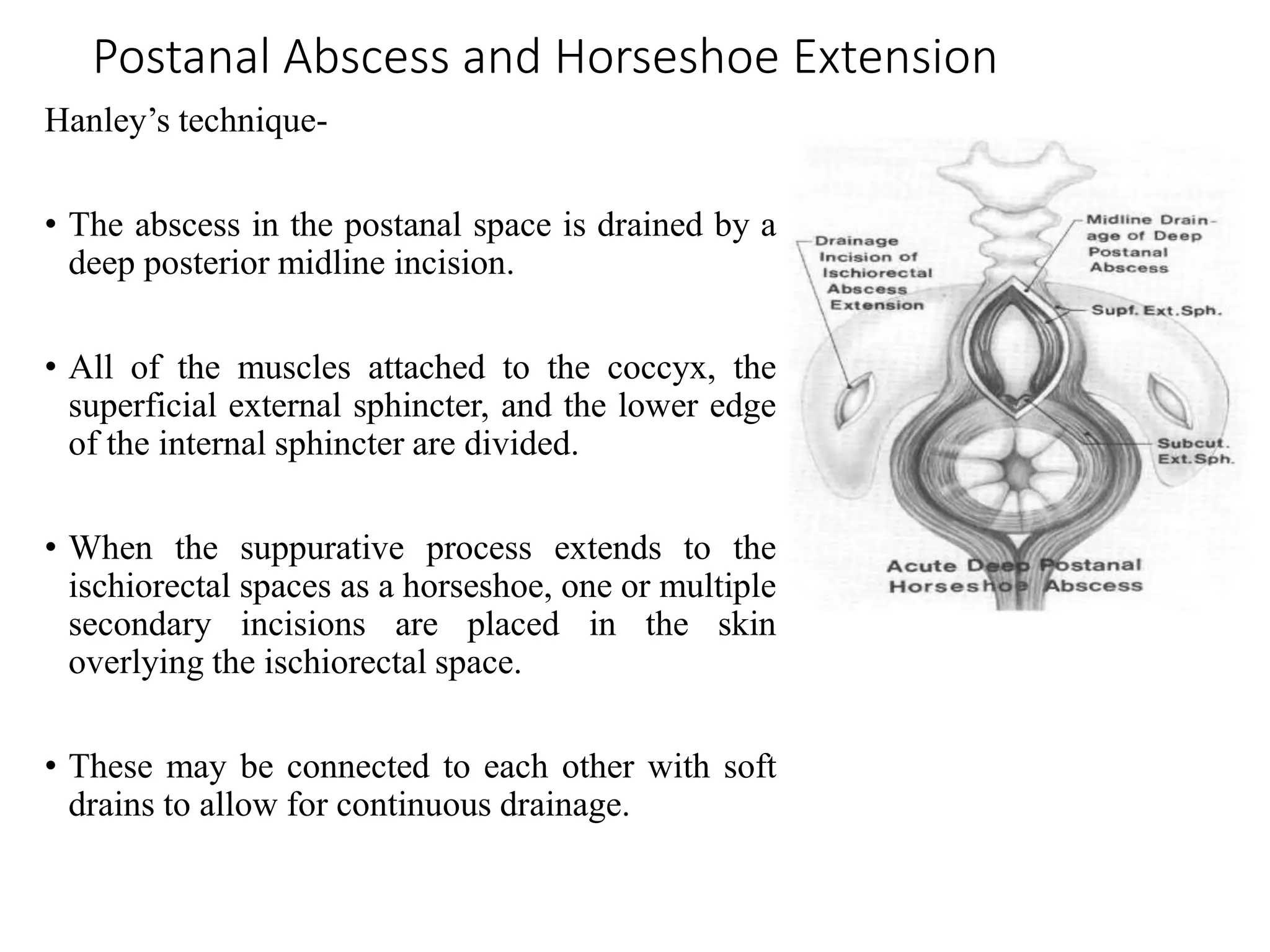 Perianal abscess | PPTX | Digestive Disorders | Diseases and Conditions