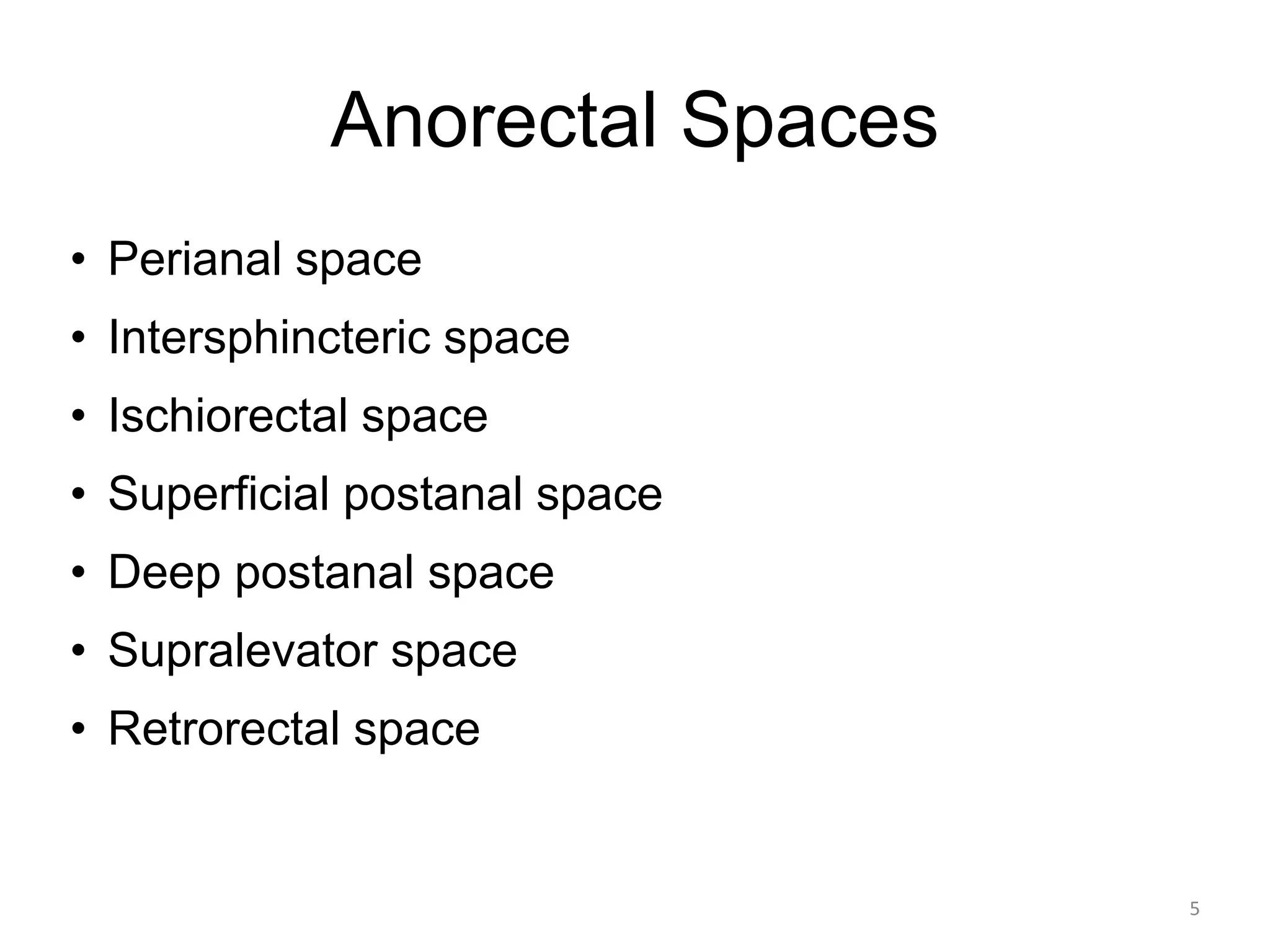 ANORECTAL ANATOMY & PERIANAL SEPSIS | PPTX