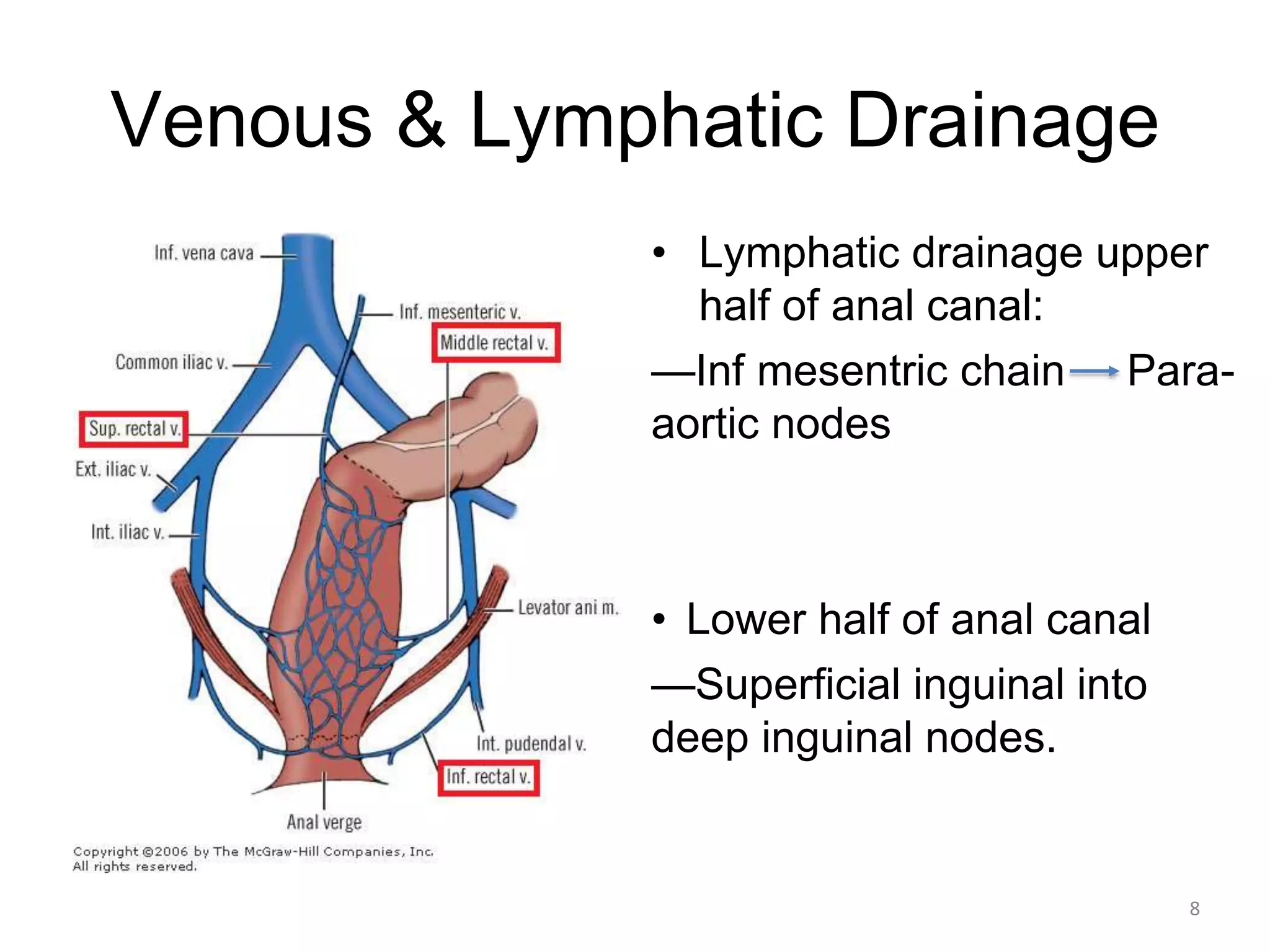 ANORECTAL ANATOMY & PERIANAL SEPSIS | PPTX