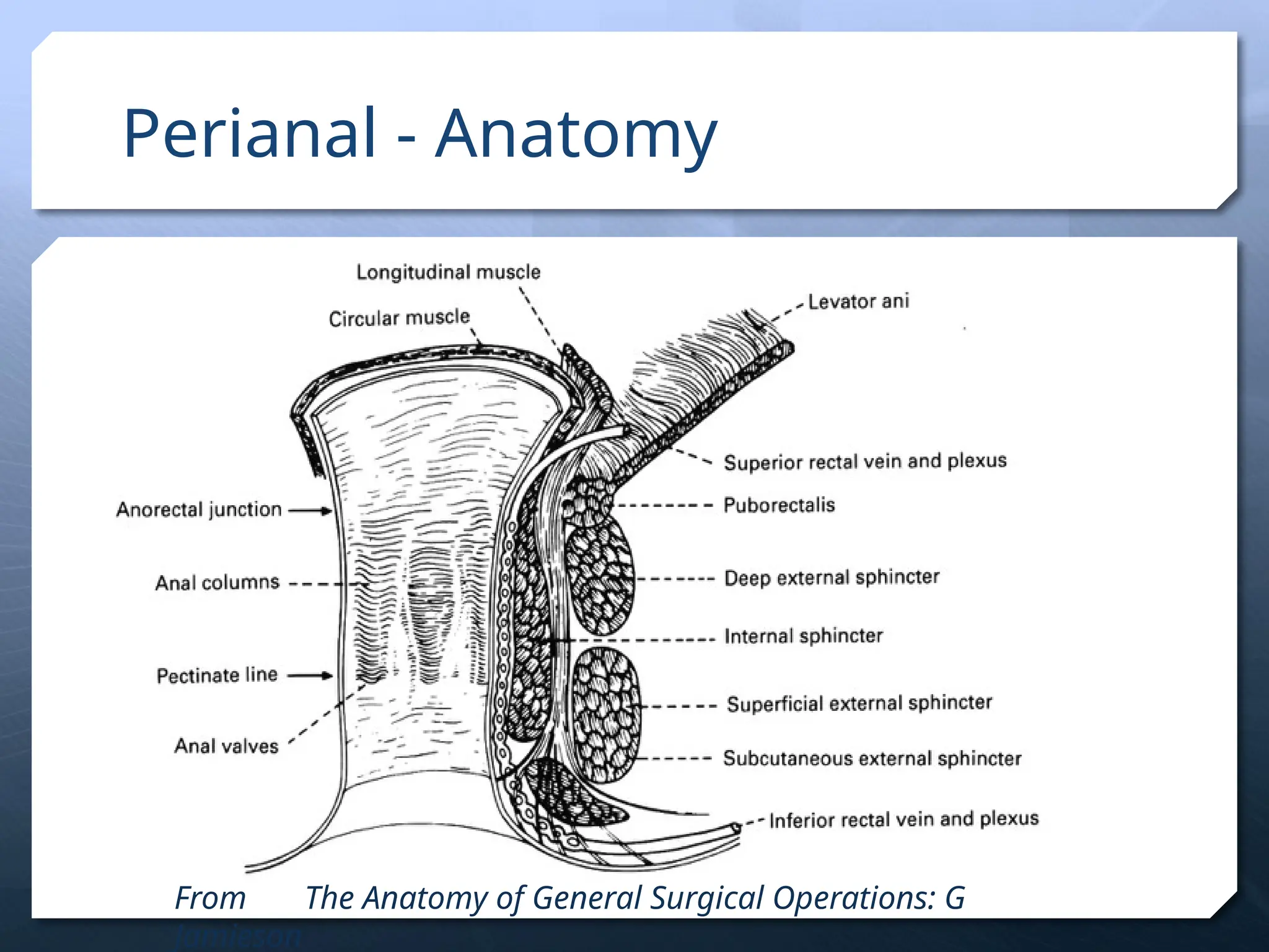 Perianal Abscess and Fistula in ano disease | PPTX