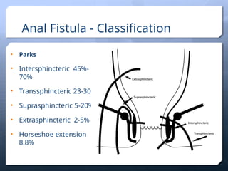 Perianal Abscess and Fistula in ano disease | PPTX