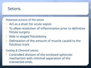 Perianal Abscess and Fistula in ano disease | PPTX