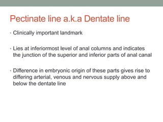 Anal fistulas - Kathryn Boyce | PPTX