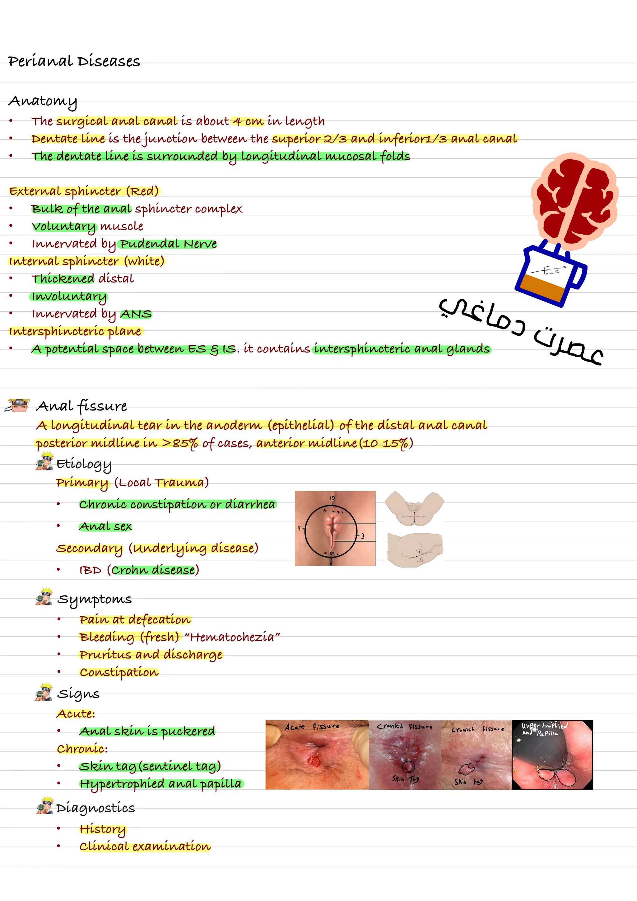 Perianal Diseases.pdf