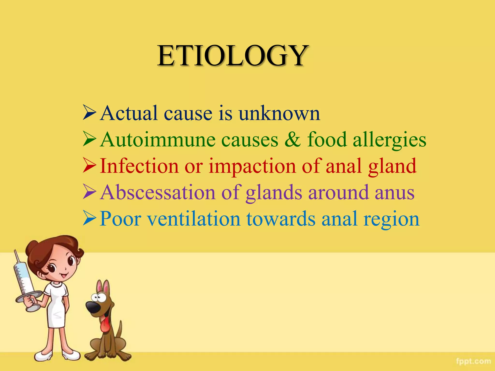Perianal fistula | PPT