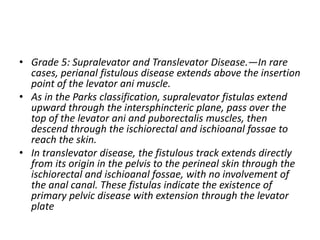 Peri anal fistula mri | PPTX