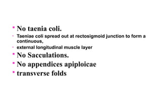 Perianal surgical conditions.pptx Taeniae coli spread out at ...