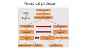 Periapical and pulpal pathosis.pptx by shumaila siddiqui | PPT