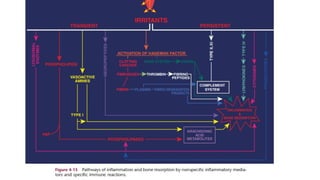 Periapical and pulpal pathosis.pptx by shumaila siddiqui | PPT