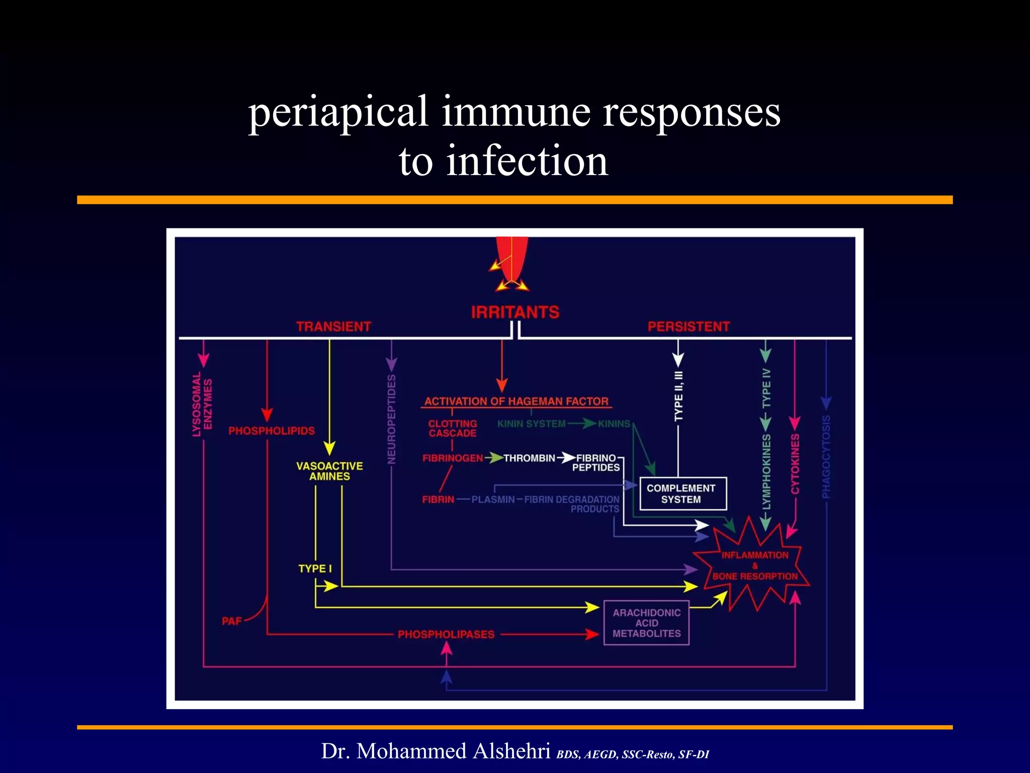 Periapical disease | PPT