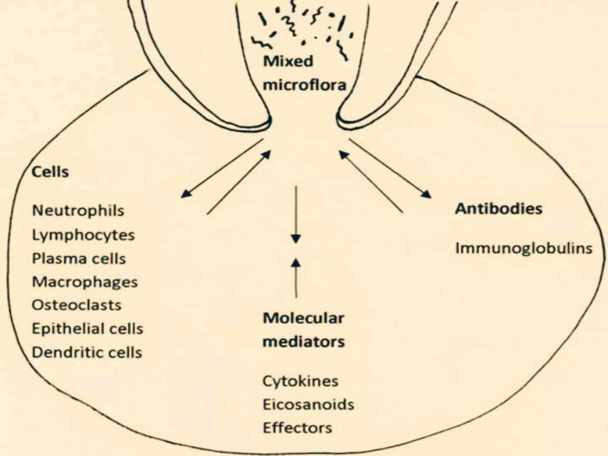 Periapical diseases and classification | PPTX