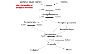 Periapical inflammatory lesions with case study | PPT