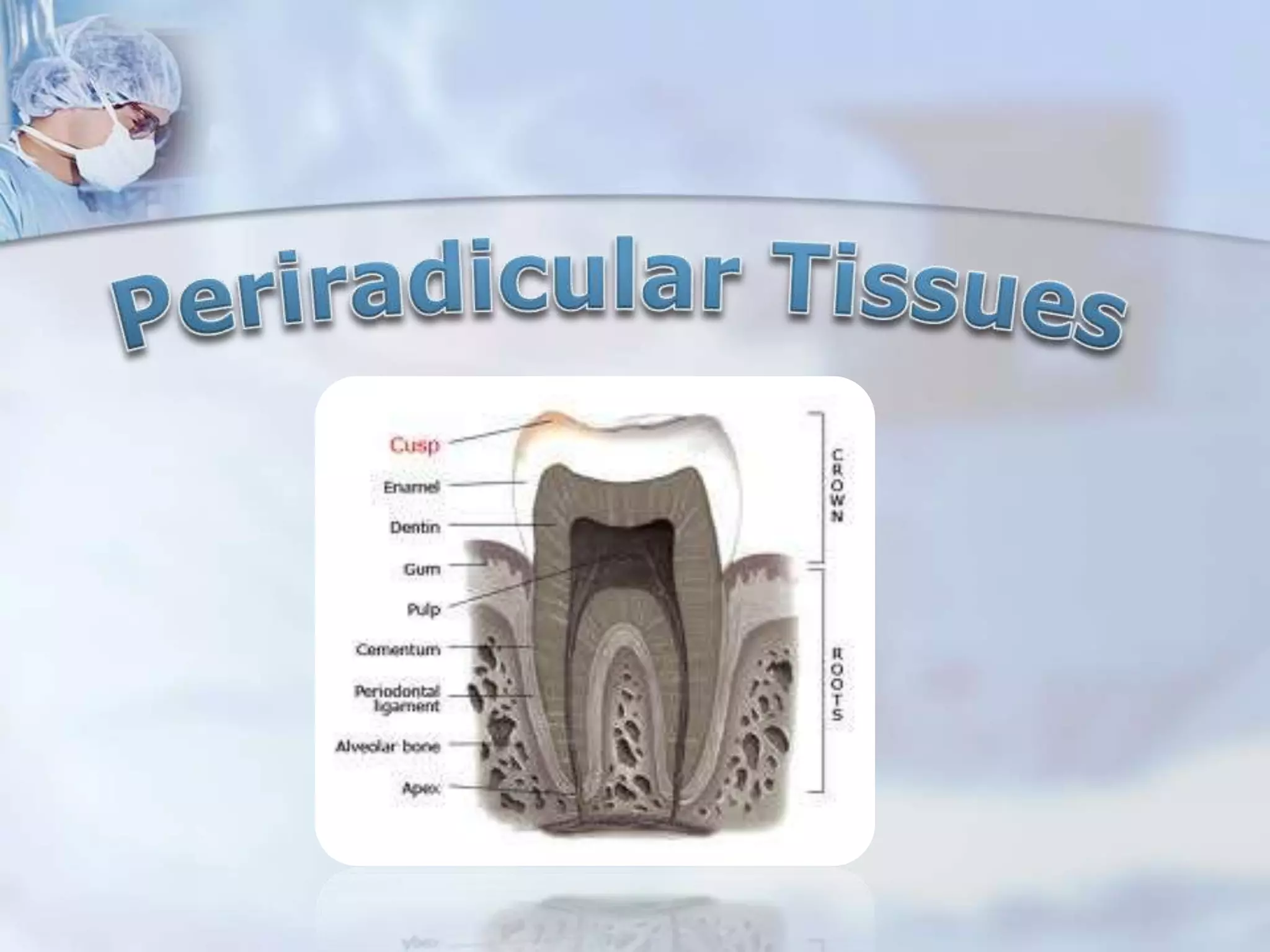 Periapical pathology | PPTX