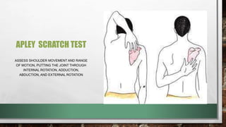 Periarthritis Shoulder.pptx | Physical Therapy | Wellness