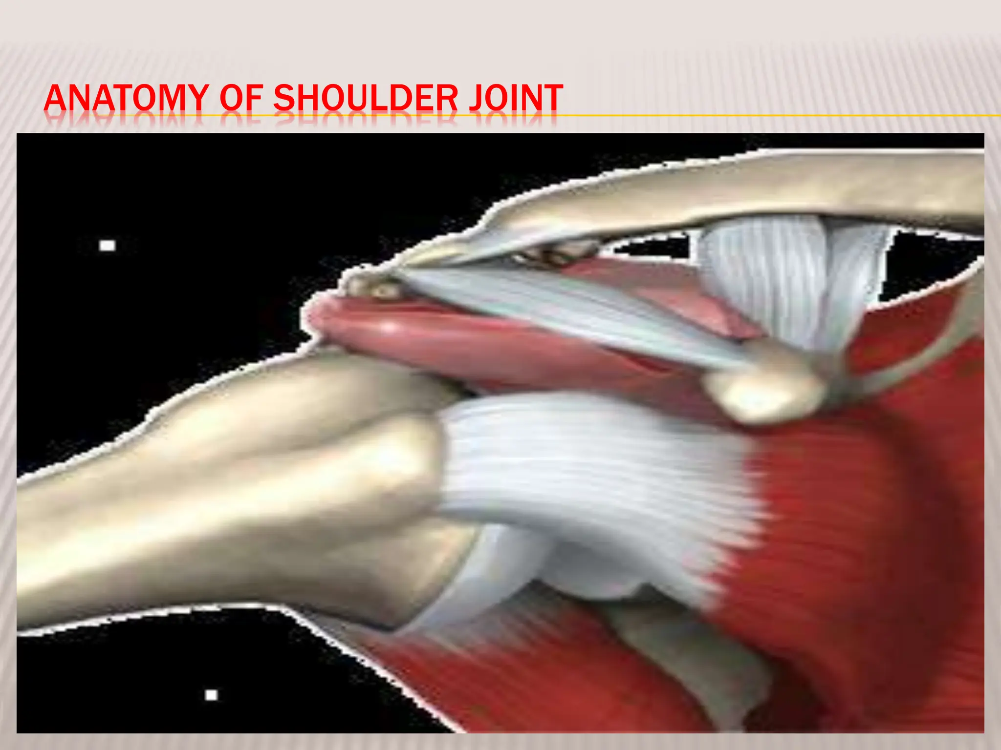 Periarteritis of shoulder joint, causes, clinical feature | PPTX