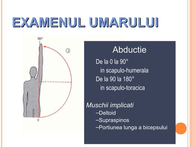 Periartrita scapulo humerala | PPT