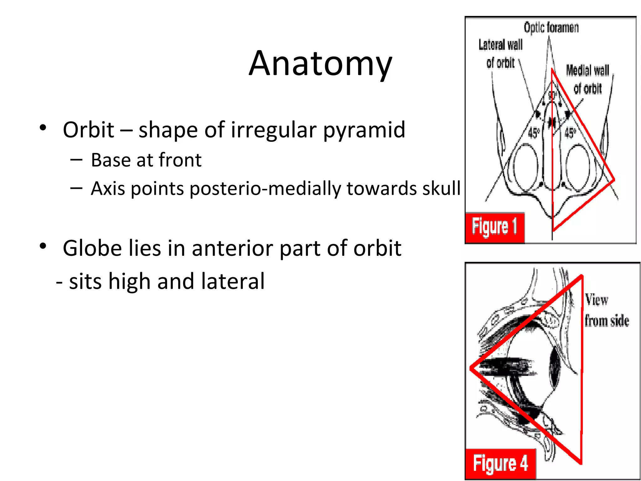 Peribulbar anaesthesia in eye surgery (4) | PPT