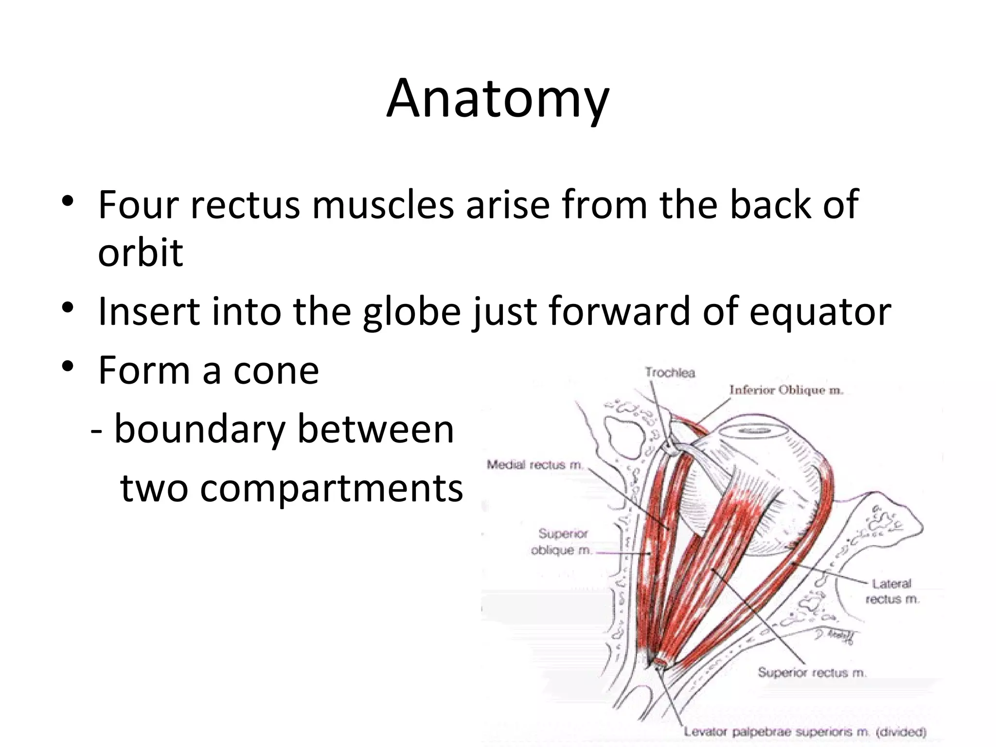Peribulbar anaesthesia in eye surgery (4) | PPT