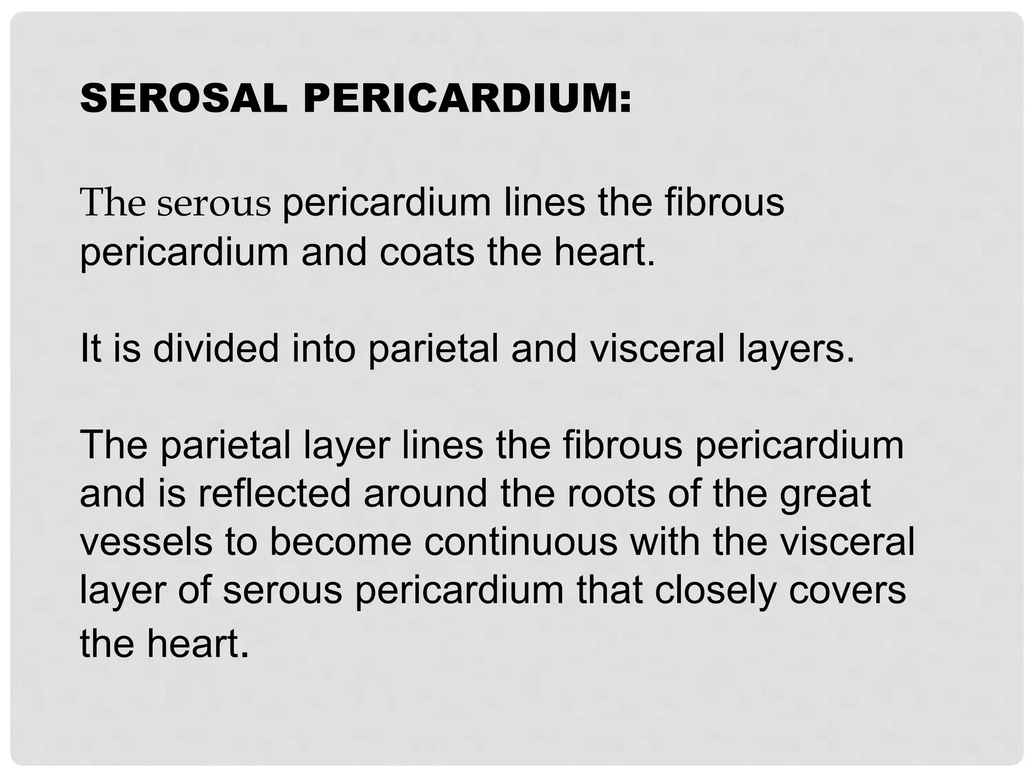 pericaduim anatomy pre - clinical (MBBS) | PPTX