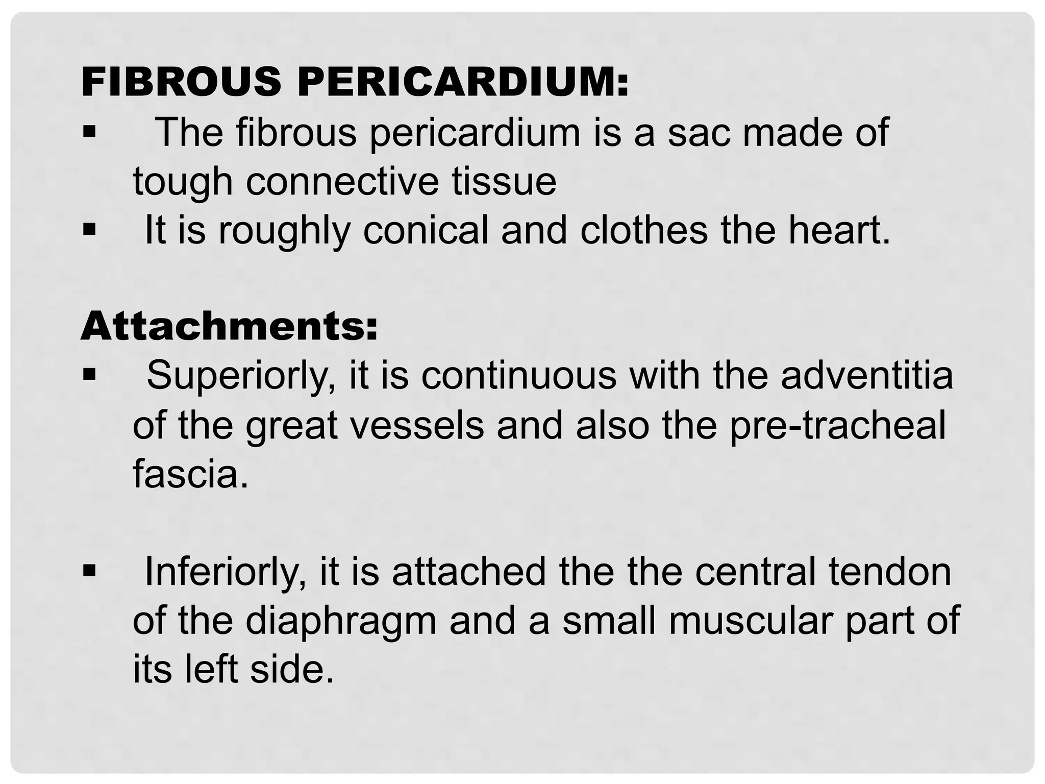 pericaduim anatomy pre - clinical (MBBS) | PPTX