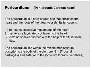 pericaduim anatomy pre - clinical (MBBS) | PPTX