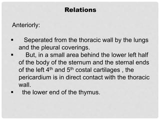 pericaduim anatomy pre - clinical (MBBS) | PPTX