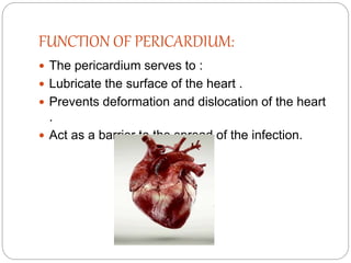 Pericardial disease | PPTX