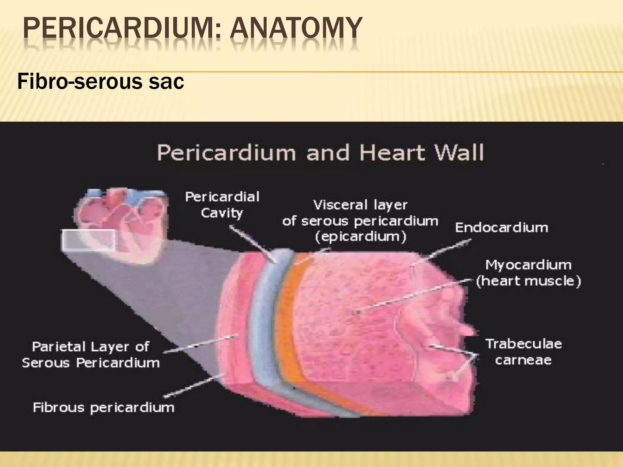 Pericardial diseases | PPT