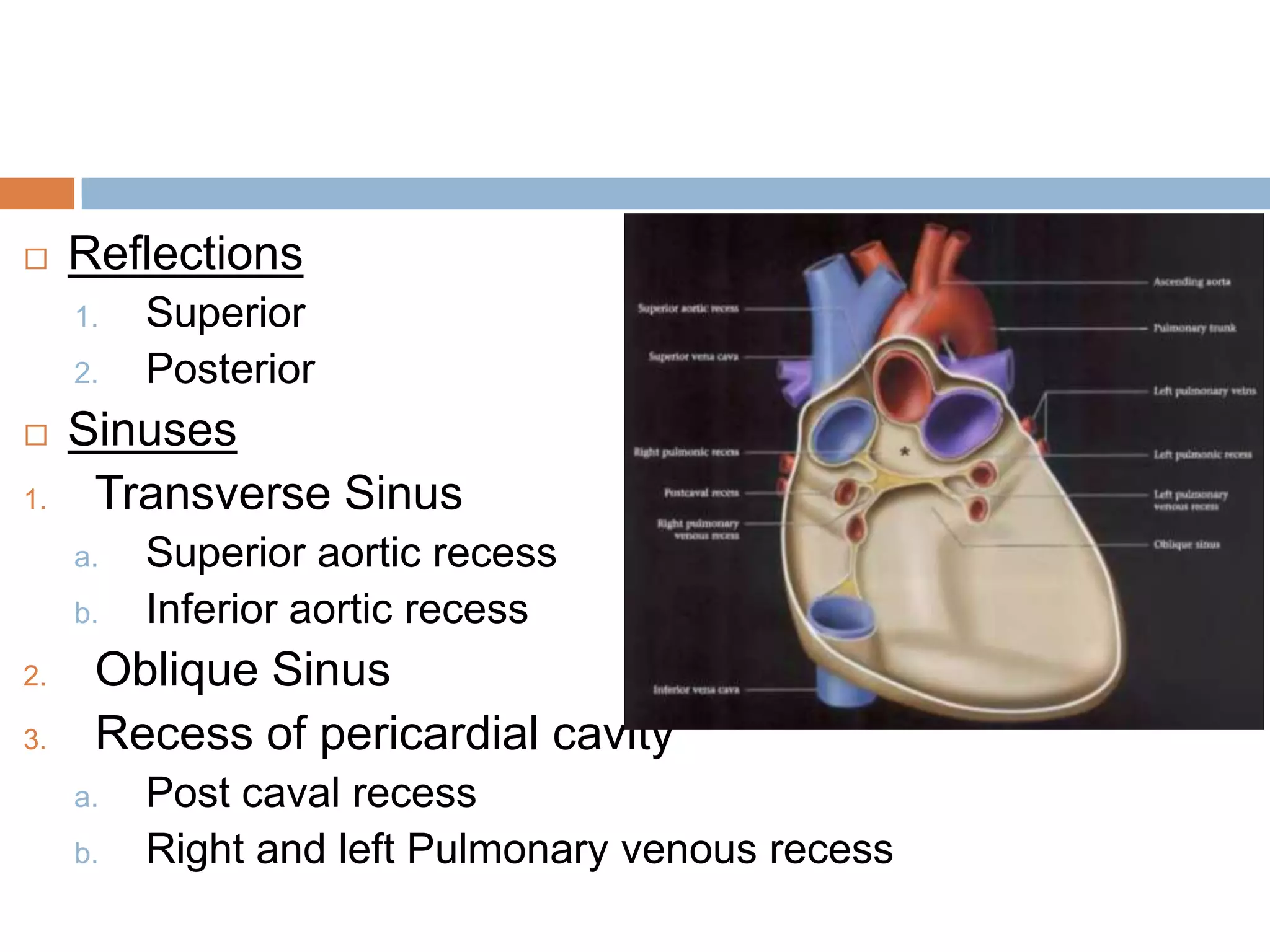 Imaging of Pericardial effusion | PPTX
