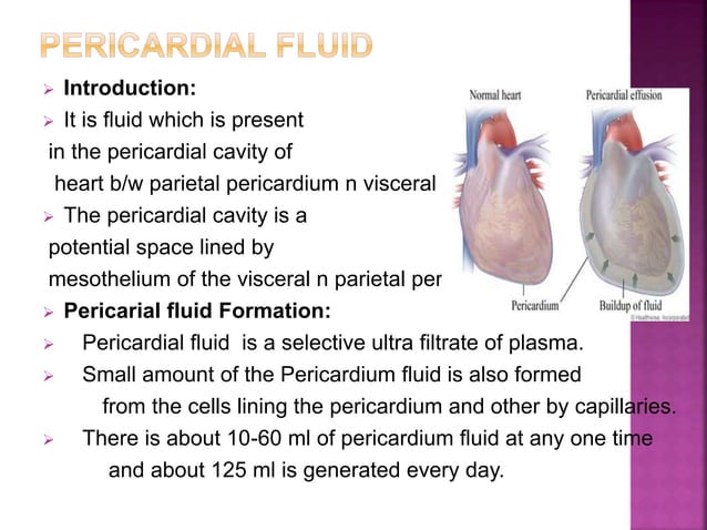Pericardial fluid | PPTX