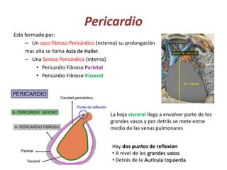 Corazón - Pericardio | PPTX