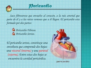 Pericarditis | PPTX