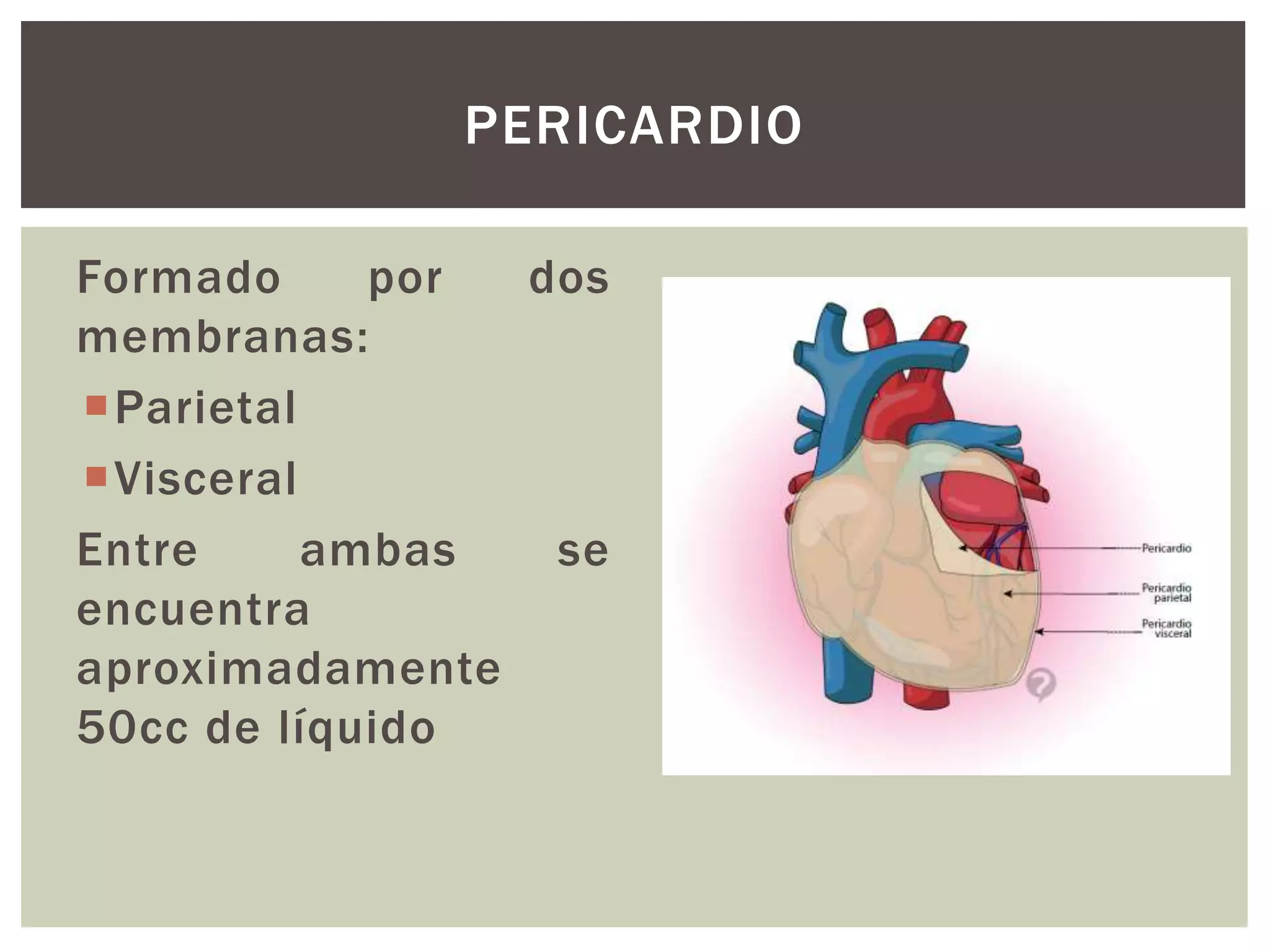 Pericarditis | PPT