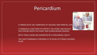 Pericarditis | PPT