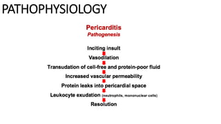 Pericarditis | PPT