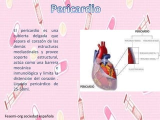Pericarditis anatomía, fisiopatología, síntomas, tratamiento ...