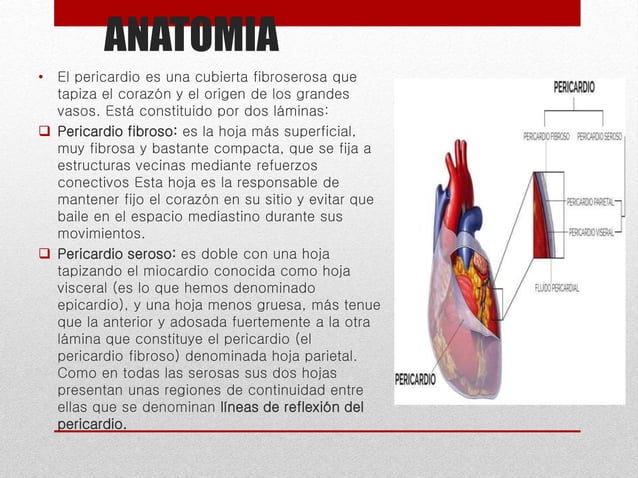 PERICARDITIS AGUDA diapositivas.pptx