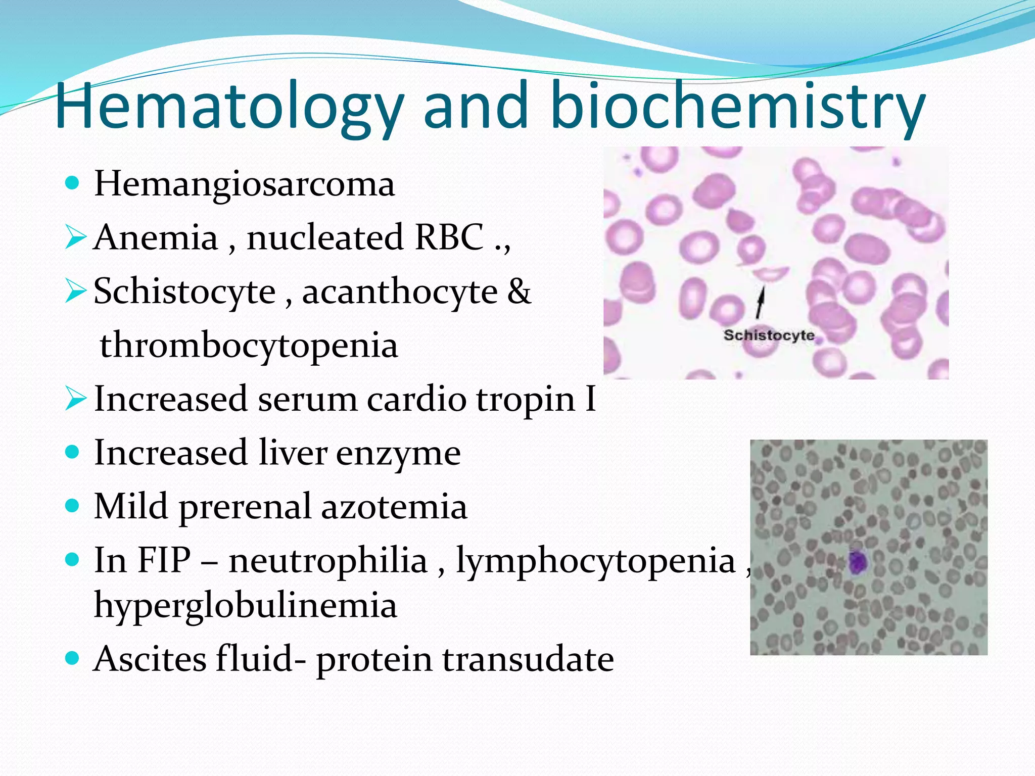 Pericarditis in animals | PPTX