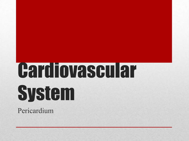 Pericardium | PPT