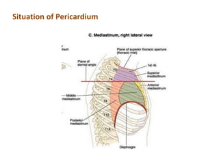 Pericardium | PPTX