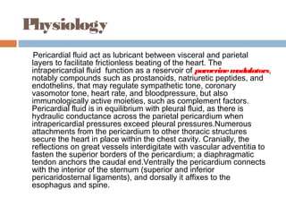 Pericardium | PPT | Heart and Cardiovascular Diseases | Diseases and ...