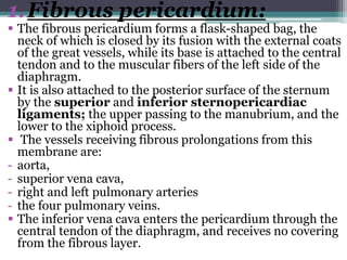 Anatomy of Pericardium | PPTX
