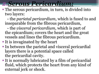 Anatomy of Pericardium | PPTX