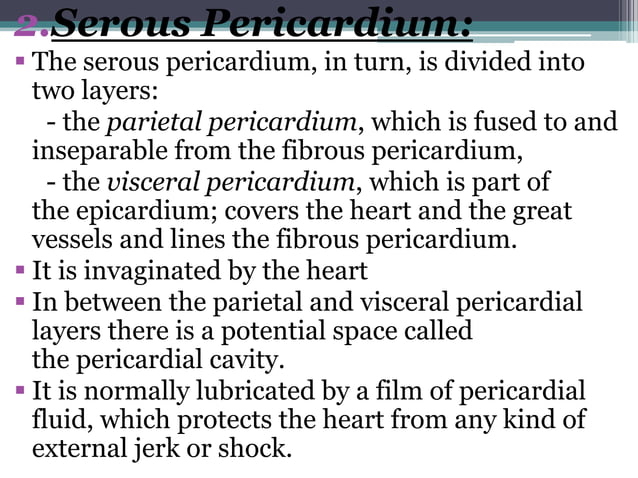 Anatomy of Pericardium | PPTX