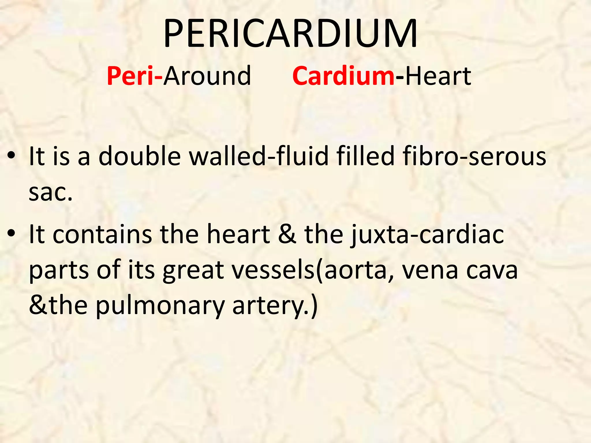 Pericardium | PPTX